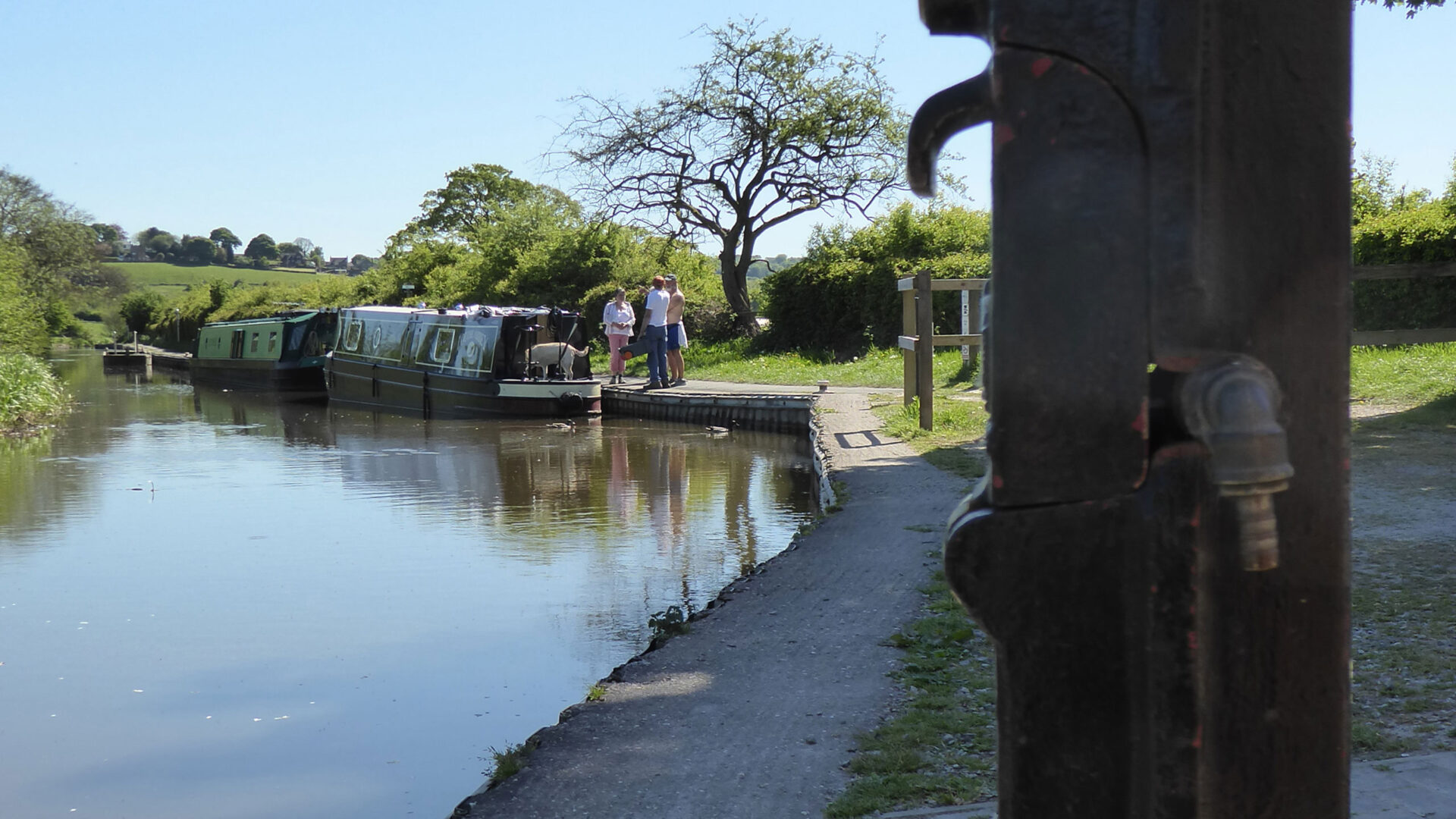 10 birds to look out for around the waterways - Inland Waterways