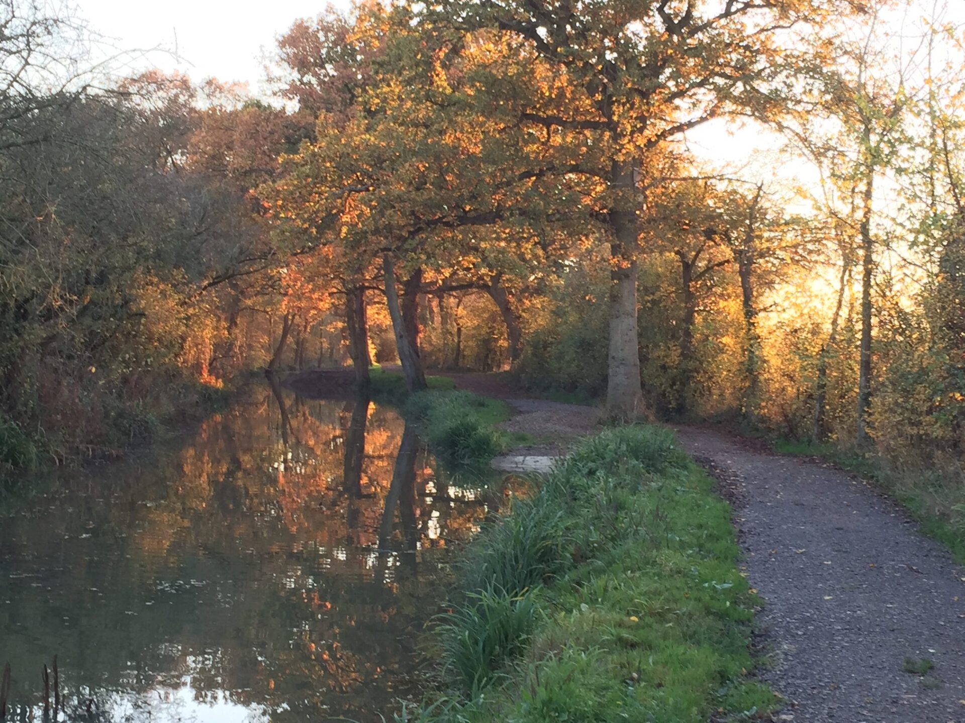 The Wilts And Berks Canal Iwa Chiltern Branch Talk The Inland Waterways Association