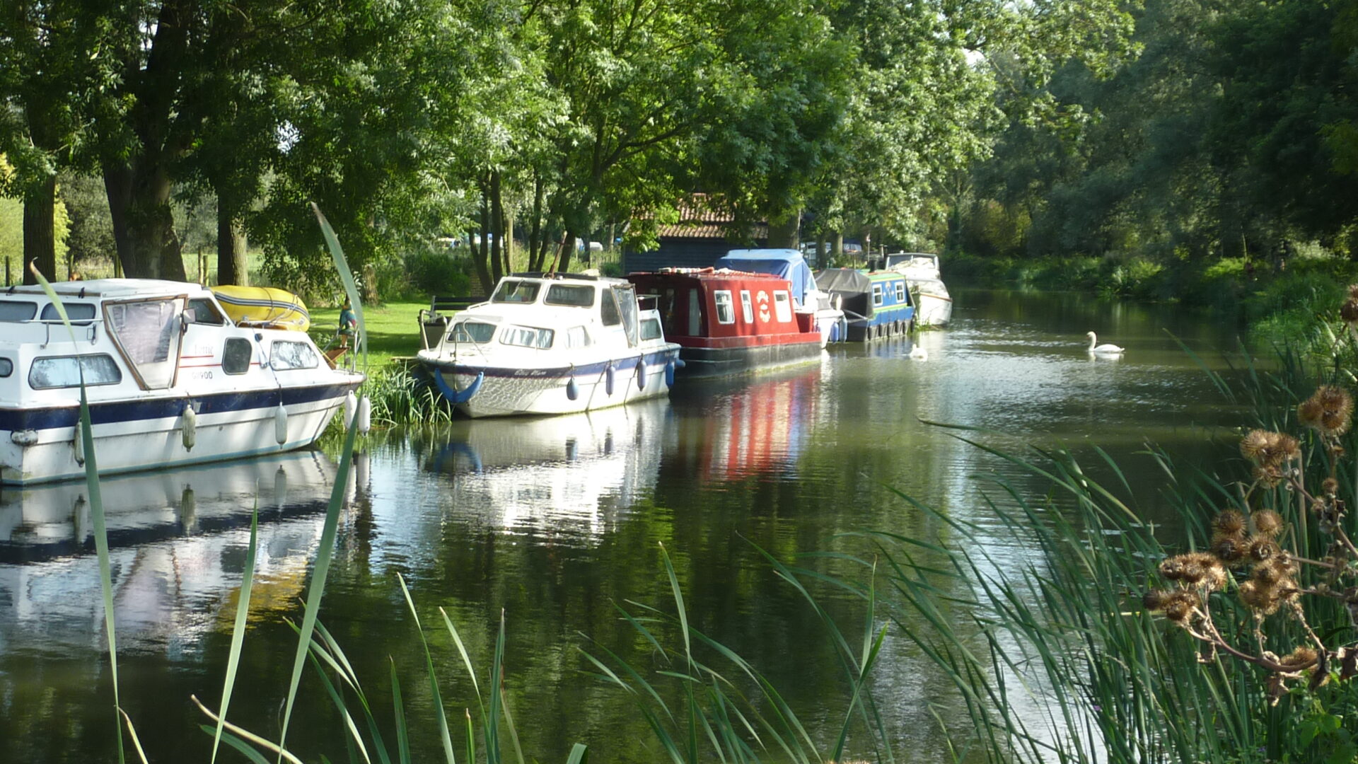 Things to do on the Chelmer & Blackwater Navigation - Inland Waterways