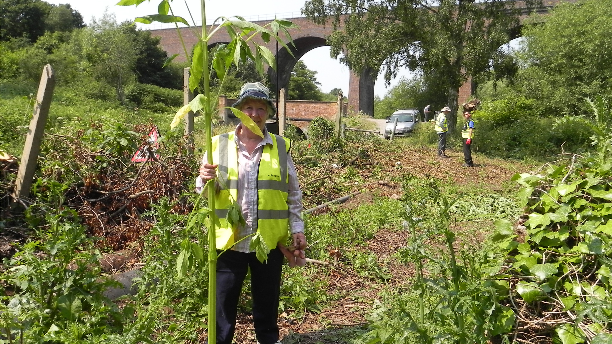 Himalayan Balsam Bash at Falling Sands - The Inland Waterways Association