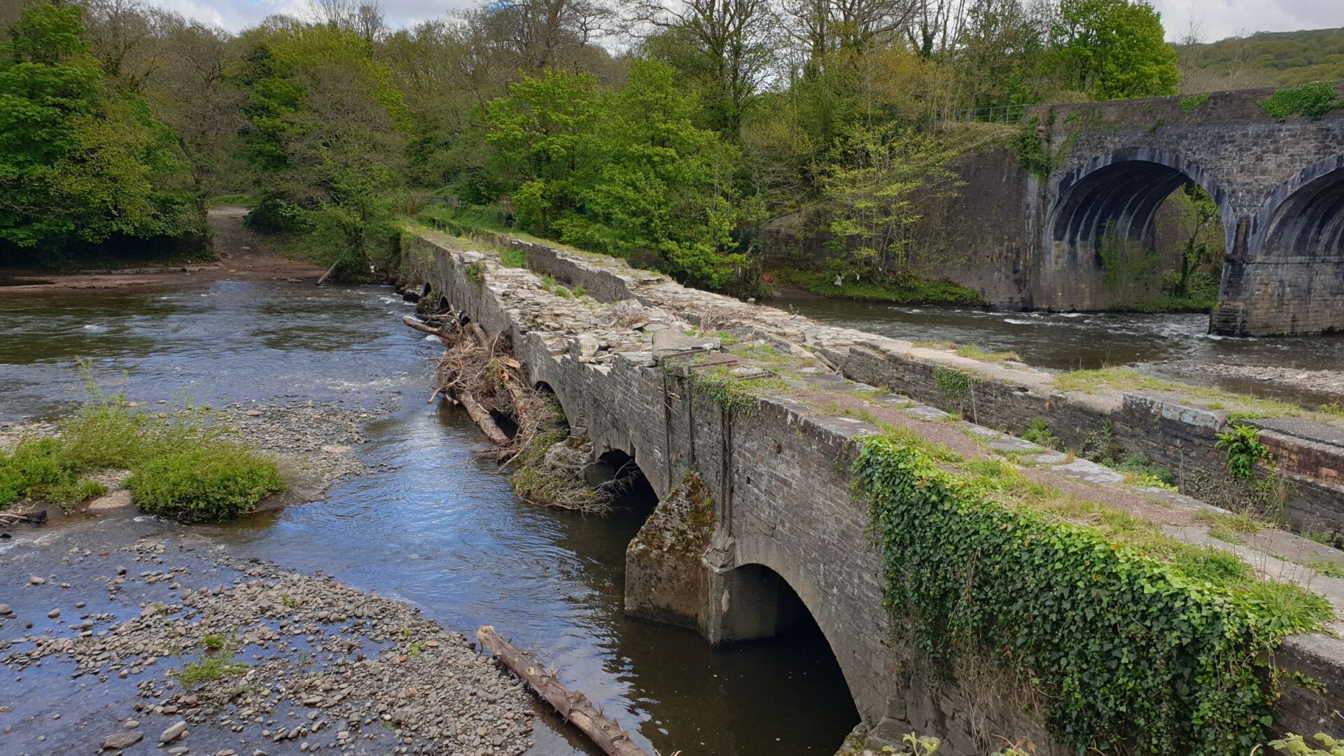 10 birds to look out for around the waterways - The Inland Waterways ...