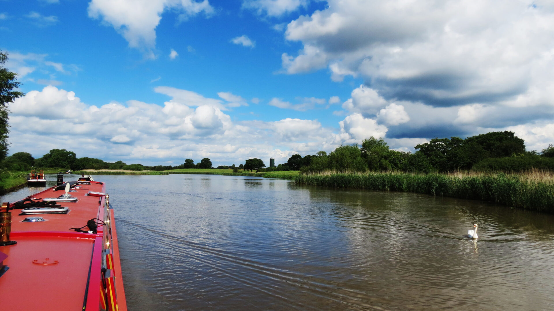 Ten mammals to look out for around the waterways - The Inland Waterways ...