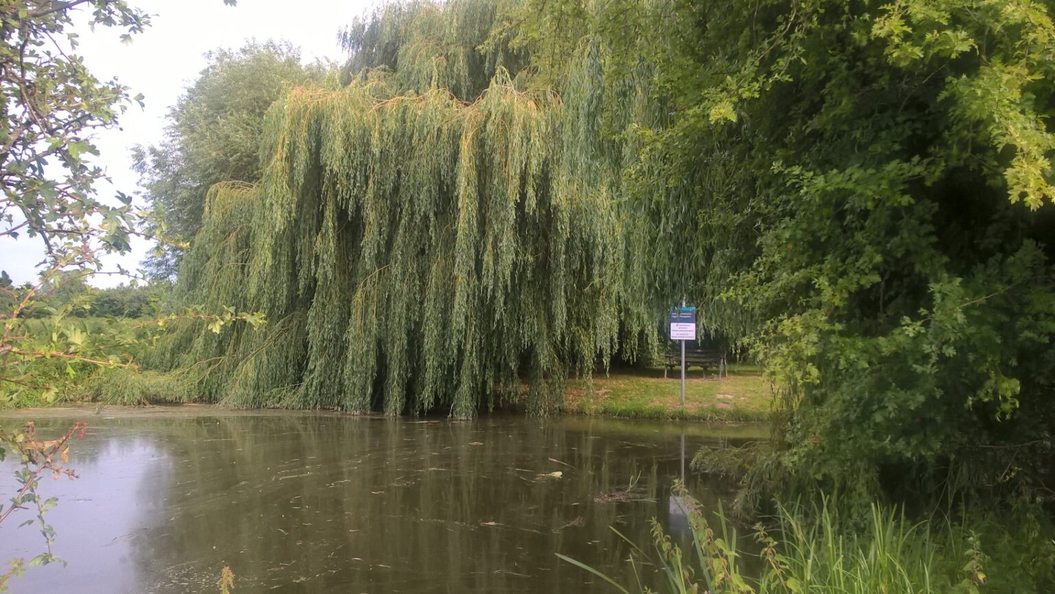 River Cam - The Inland Waterways Association
